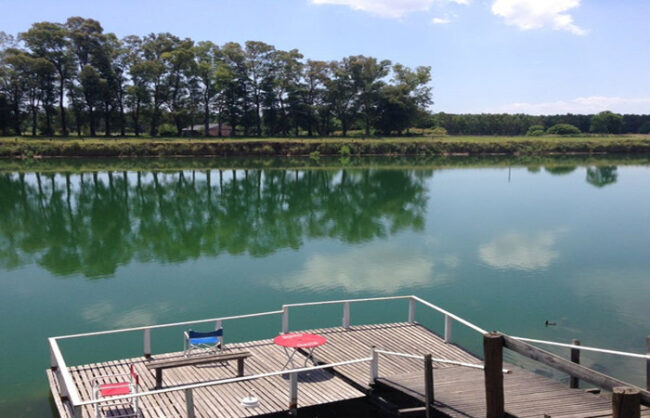 Información del Partido de Ezeiza | Colegios en Buenos Aires